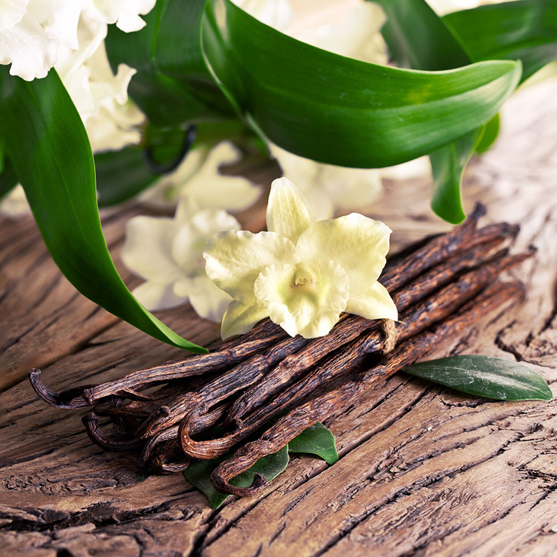 The Regimental Brewmeister’s Vanilla Extract – Michael Carver ...