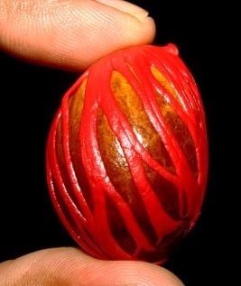 The Spice Trade – Nutmeg, Mace, and Cloves – Michael Carver ...